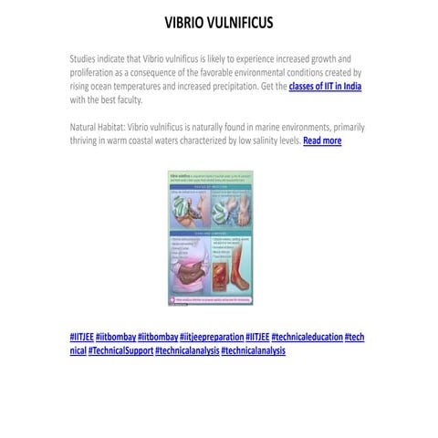 VIBRIO VULNIFICUS.pptx