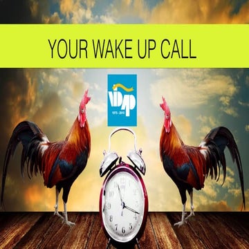 Vib wake up call | PDF