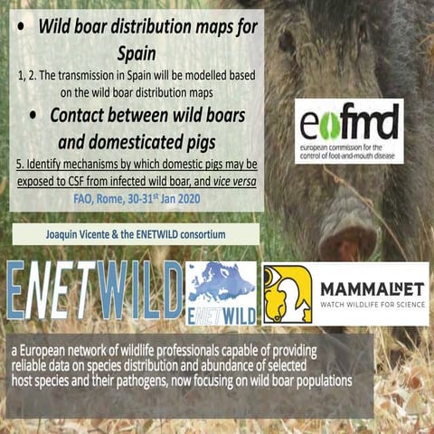 EuFMDiS Meetings 01/2020 - Wild boar distribution maps for Spain ...