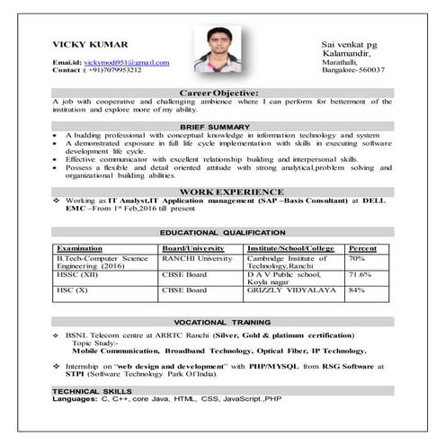 Vicky cv | DOCX
