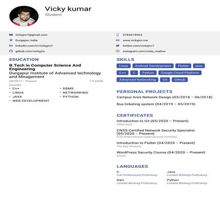 Vicky's resume | PDF