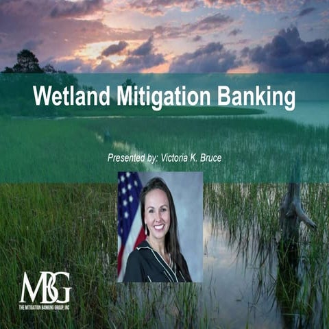 Wetland Mitigation Banking: Strategies and Processes for Ecological ...