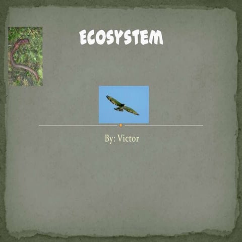 Victor's Ecosystem Power Point | PPTX | Biological Sciences | Science