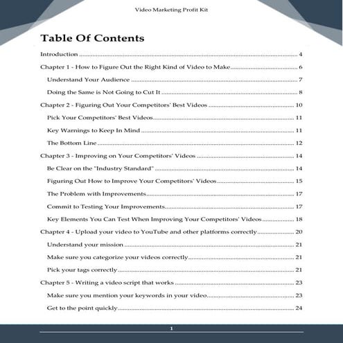 Video Marketing Profit | PDF