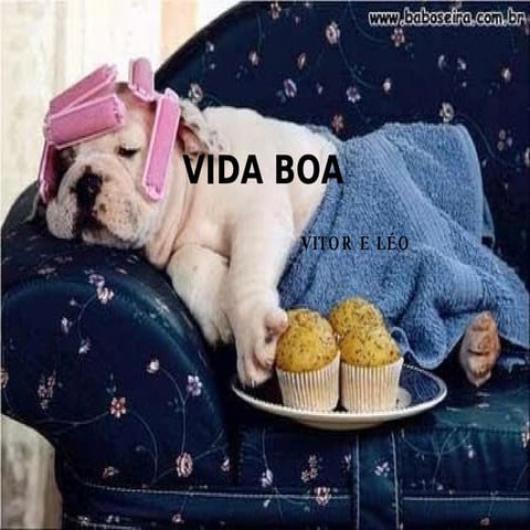 Vida Boa | PPT