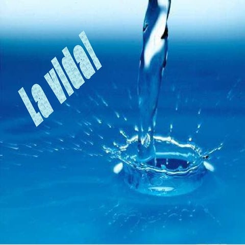 Un altre sobre la vida. | PPT