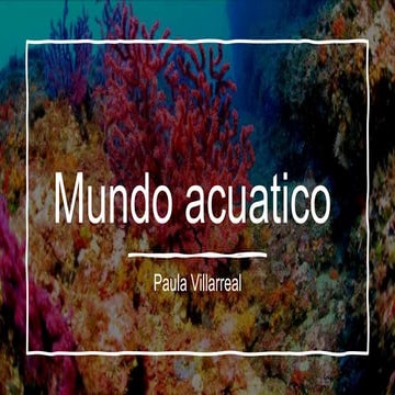 Vida acuatica | PPTX