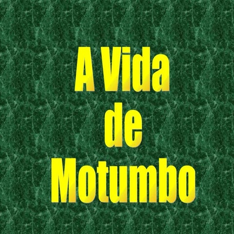 Como tratar de Queimaduras | PPS
