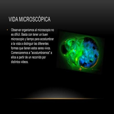 Vida microscópica | PPTX