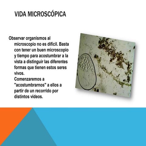 Vida microscópica | PPTX