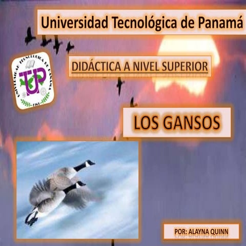 Video los ganzos | PPTX