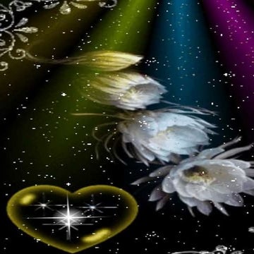 Video blingee 2 | PPT