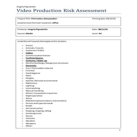 Video production risk assessment | DOCX