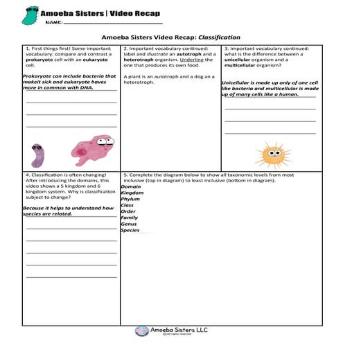 video_recap_of_classification_2222222.pdf