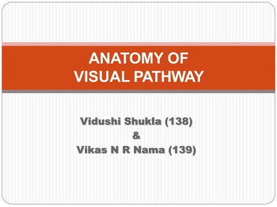 Anatomy of visual pathway | PPT