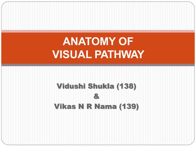Visual pathway and lesion | PPTX