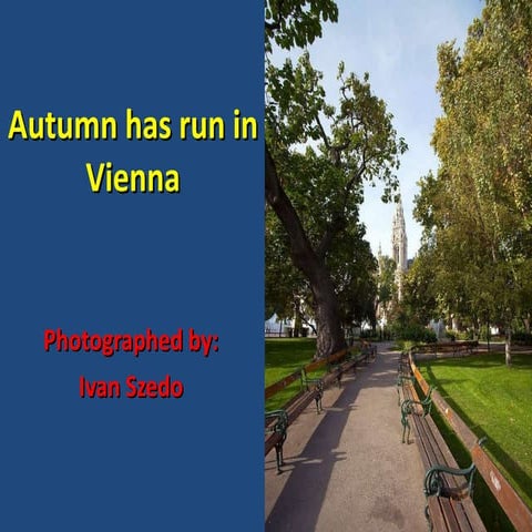 Autumn run into Vienna | PPS