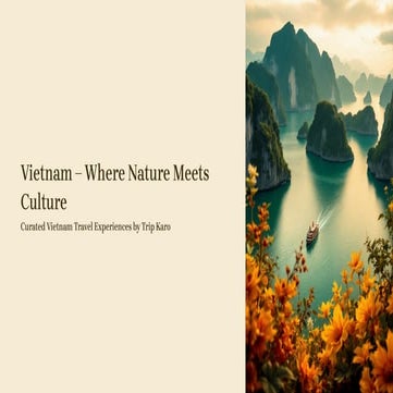 Why Vietnam is One of Asia’s Most Loved Destinations | Trip Karo | PDF
