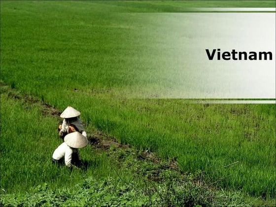 Vietnam | PPT