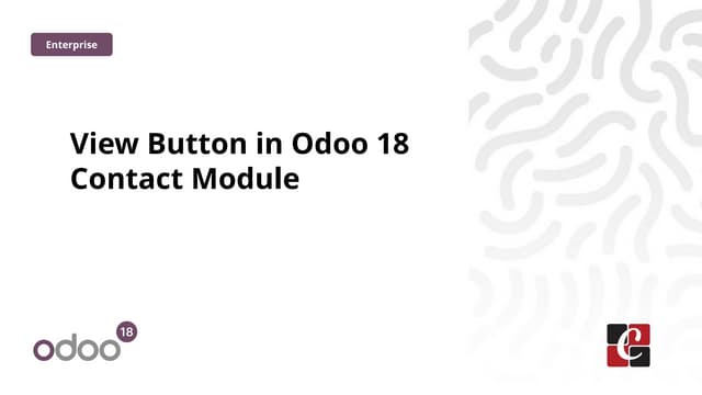 View Button In Odoo 18 Contact Module Odoo 18 Slides Ppt 1924