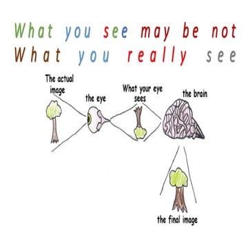 生物多様性への気づき：Seeing is really Believing?? Comparative Cognitive Science | PPT