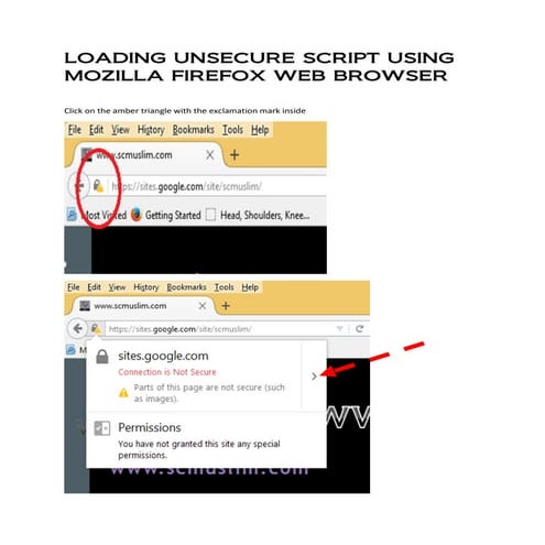 Viewing unsecure script on mozilla firefox | PDF
