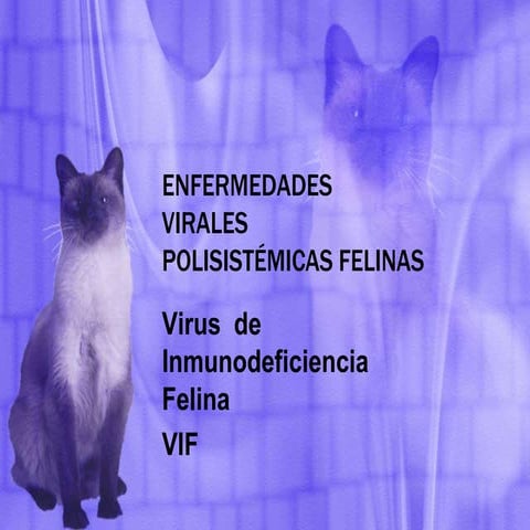 Virus de Inmunodeficiencia Felina | PPTX