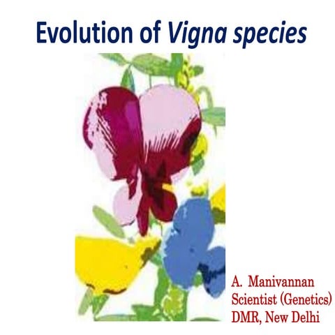 Evolution of Vigna species | PPT