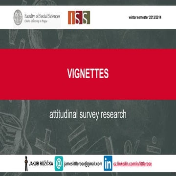 Vignettes in Survey Research | PDF