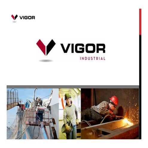 Vigor 2011 | PDF