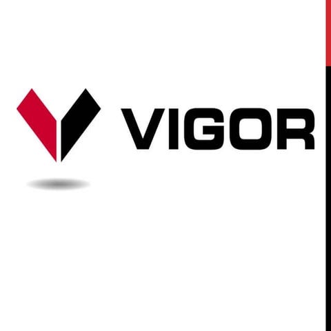 Vigor overview for propeller club 06 2011 | PPSX