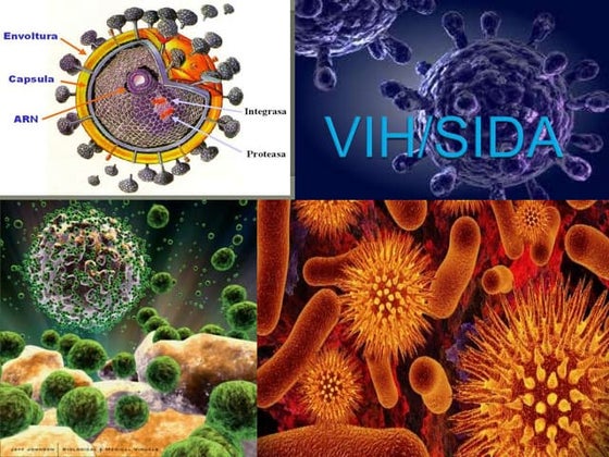 Presentacion de power point del vih sida | PPT