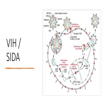 Infeccion por VIH GENERALIDADES Y DEFINICIONES | PPTX