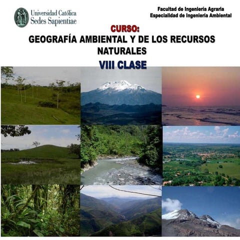 Viii.clase recursos forestales | PDF