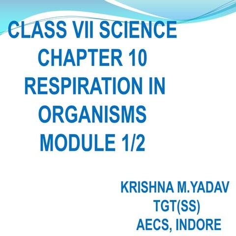 Class 7 science_ Respiration in organisms.pdf