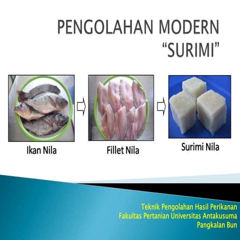 VII_Surimi.pptx