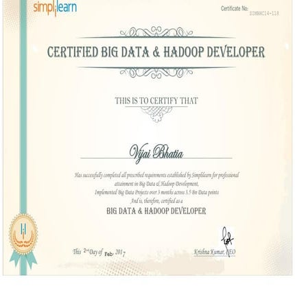 Vijai bhatia big data exp certificate | PPT