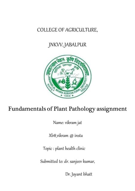 Rice case worm | PPTX | Agriculture | Industries