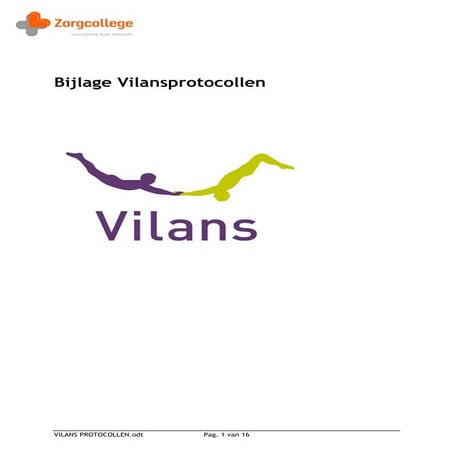 Vilans Protocollen.pdf
