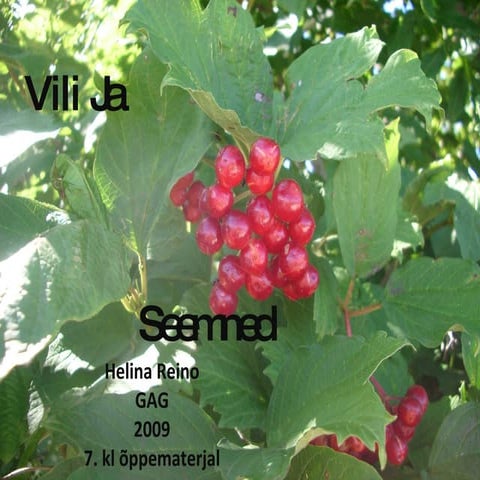 Vili&Seeme | PPT