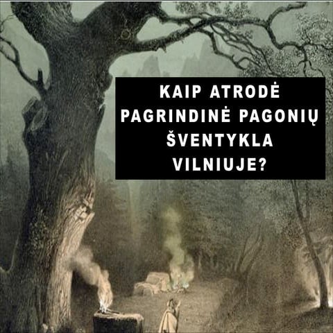 Kaip atrode Perkuno katedra Vilniuje? | PDF