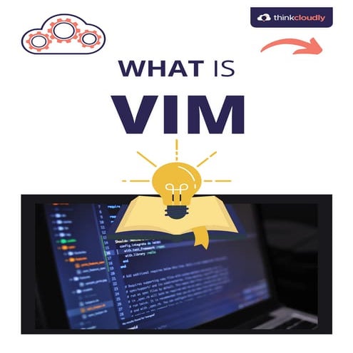 What is VIM? | PDF