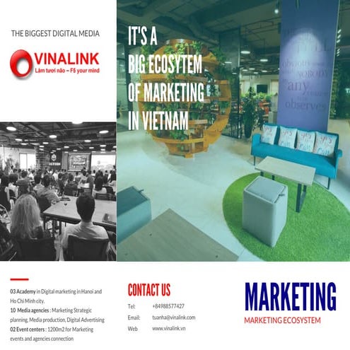 Vinalink proposal - Digital Marketing Strategy Planning | PDF
