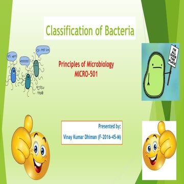 Classification of Bacteria microbiology | PPTX