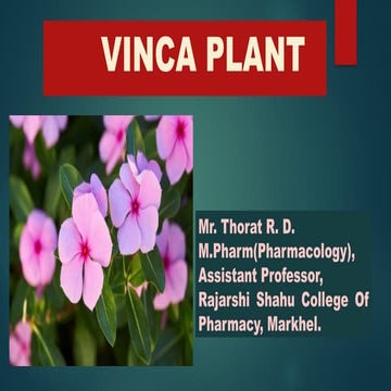 Vinca plant alkaloid type pharmacognosy -II | PPTX