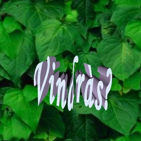 Vindras (1966) | PPS