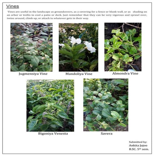 interior design student work | PDF