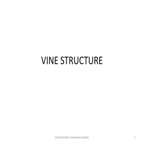 Vine structure | PPTX