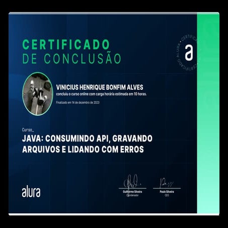 Vinicius Henrique Bonfim Alves - Curso Java consumindo API, gravando arquivos e lidando com ...