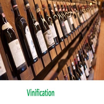 Vinification | PPTX